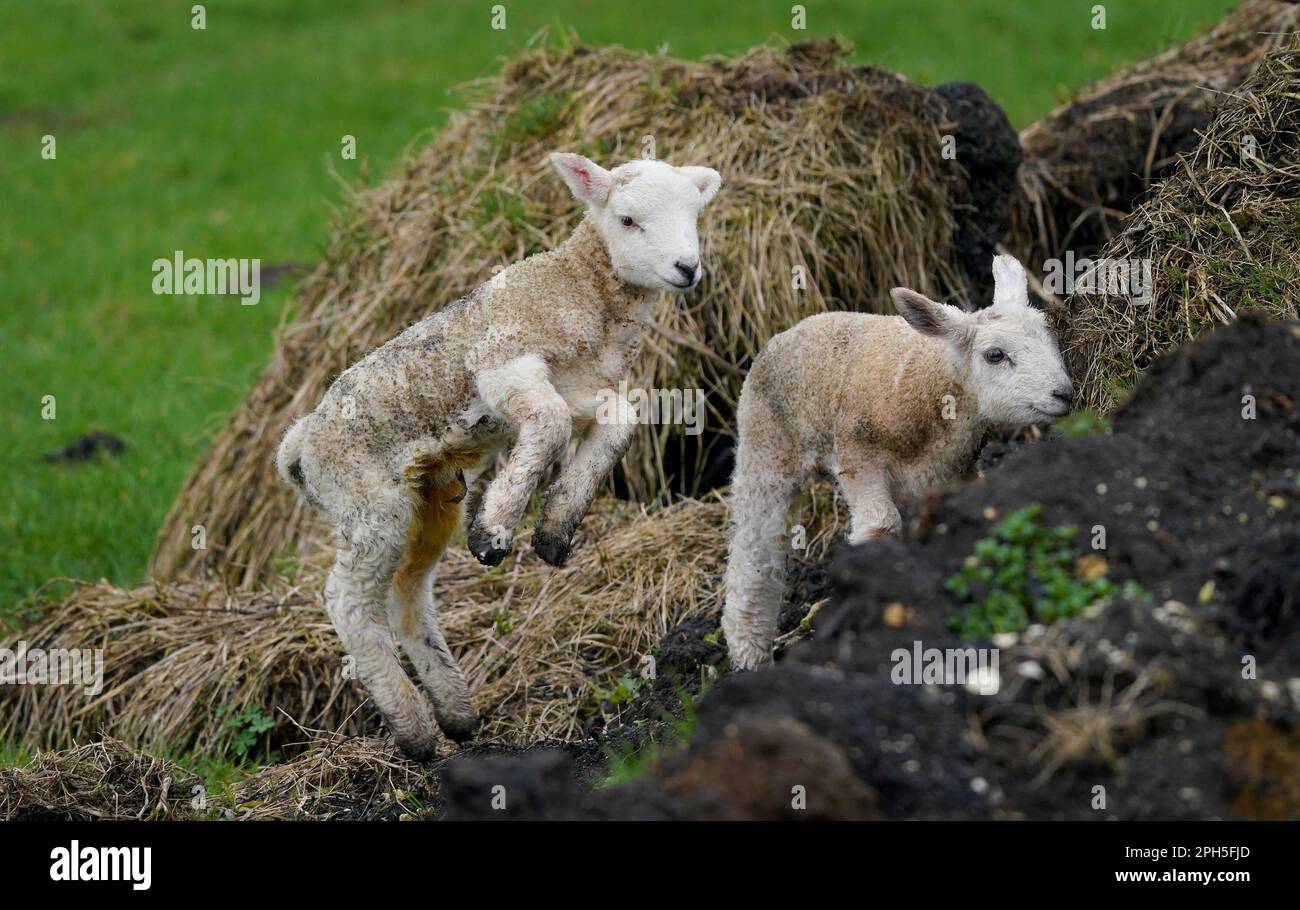 Damp surroundings hi-res stock photography and images - Alamy