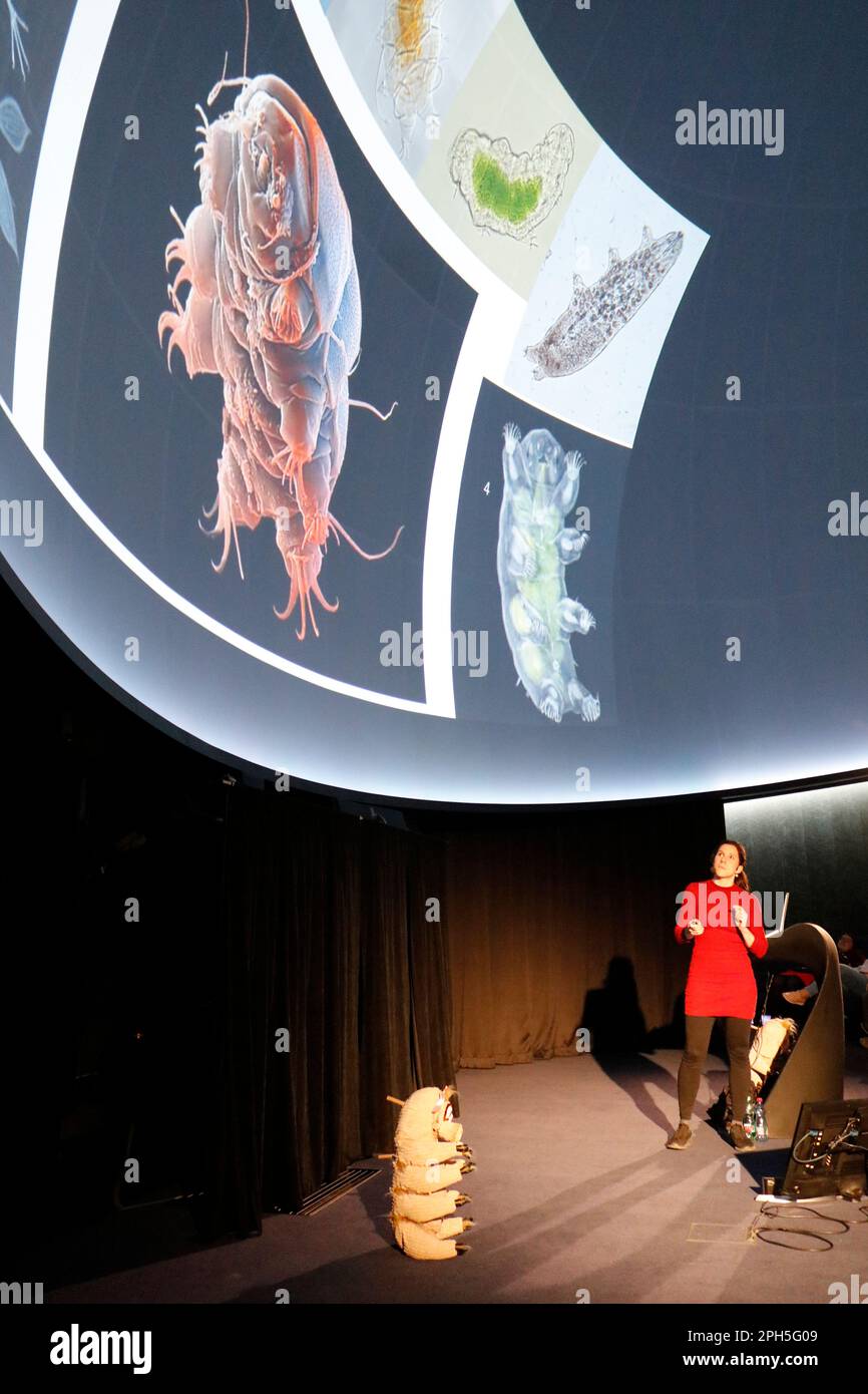 During the opportunity to present an insight into a microworld full of ...