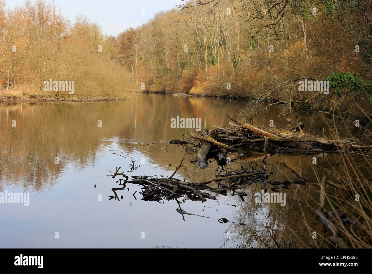 Idyllic river bank hi-res stock photography and images - Alamy