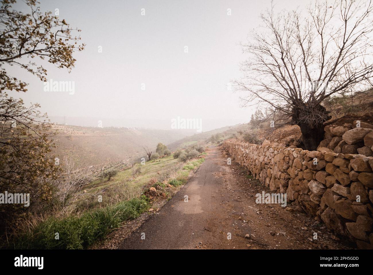 stonewalls built at side of road in the countryside at a hill with ...