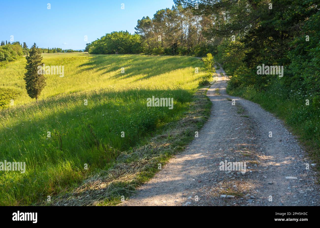 Tuscany spring landscape near San Miniato village - along via ...