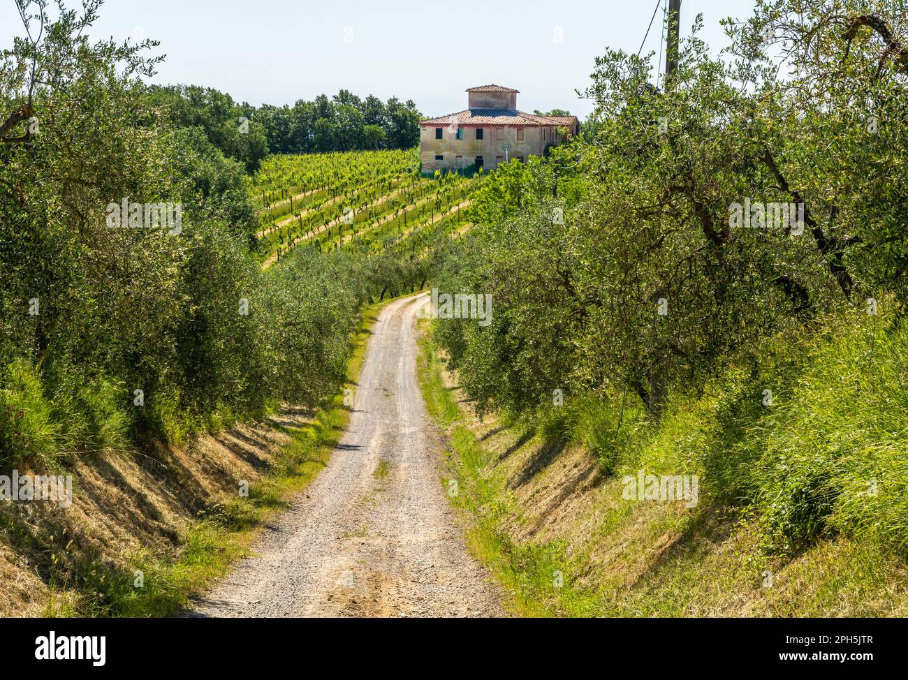 Tuscany spring landscape near San Miniato village - along via ...