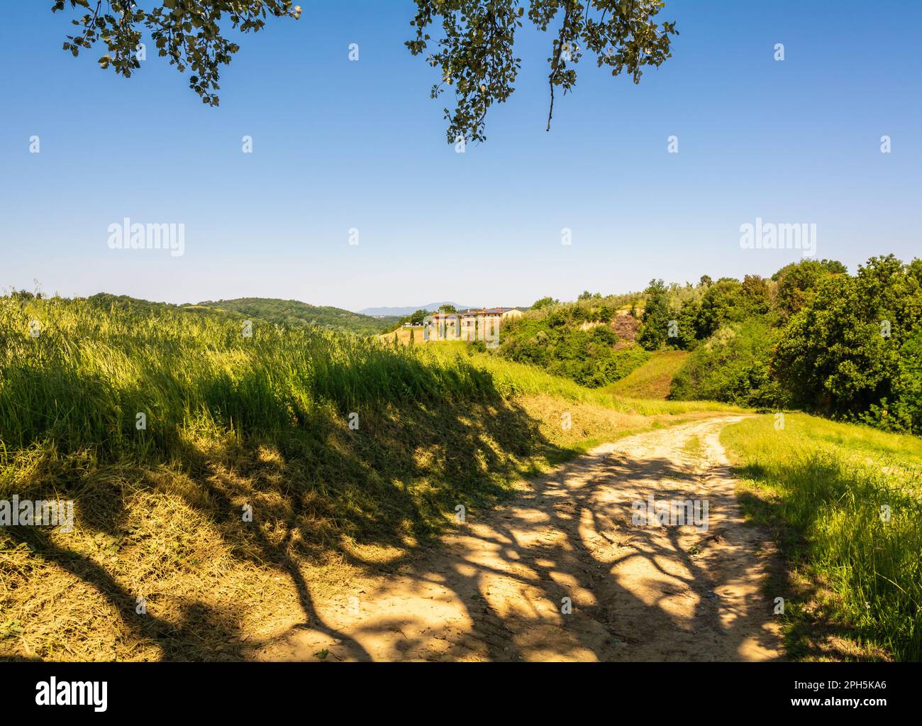 Tuscany spring landscape along the historic route Francigena between ...