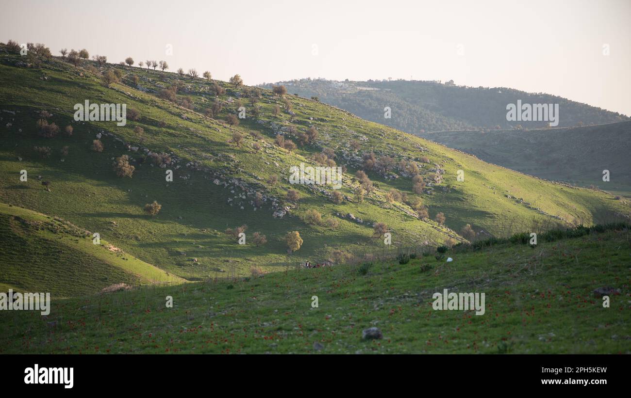 Jordanian landscape mountains vegetation hi-res stock photography and ...