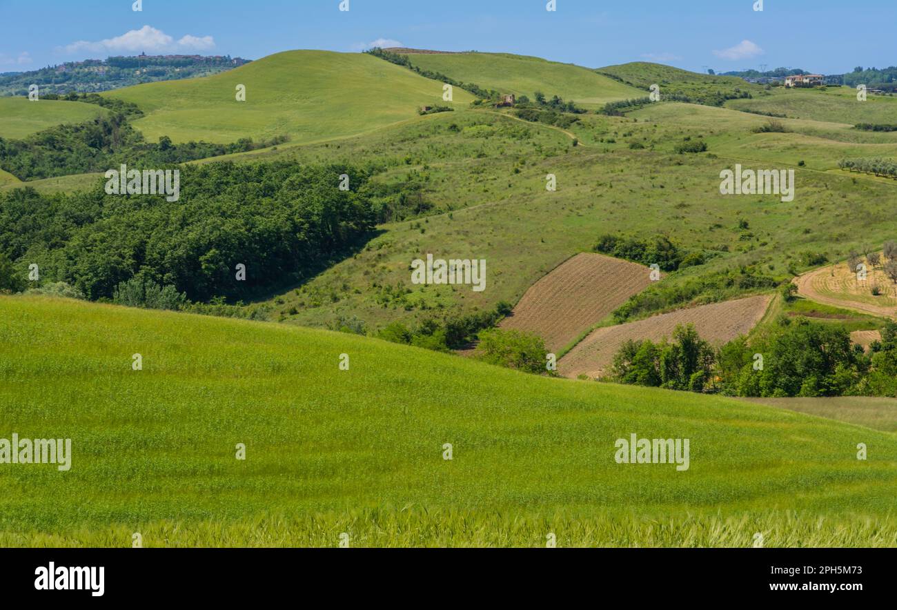 Tuscany spring landscape along the historic route Francigena between ...