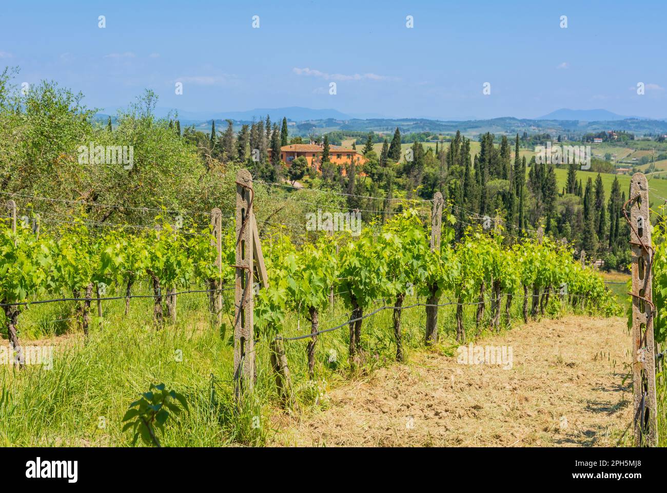Tuscany spring landscape along the historic route Francigena between ...