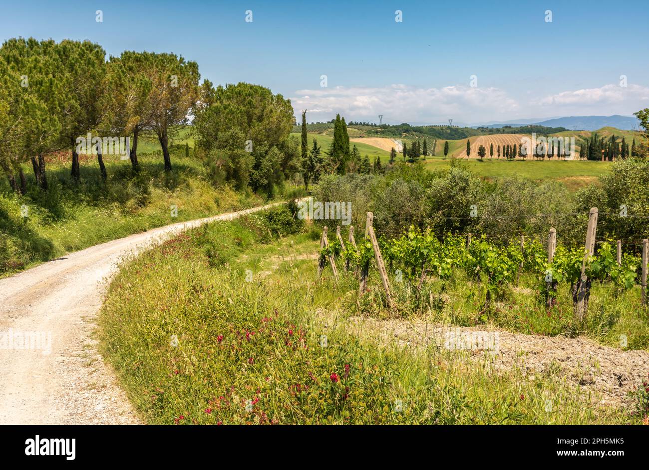 Tuscany spring landscape along the historic route Francigena between ...