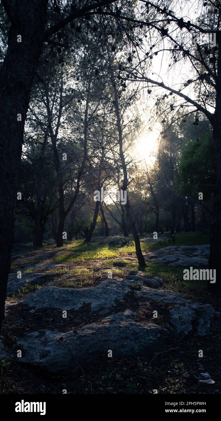 Leaking lights hi-res stock photography and images - Alamy