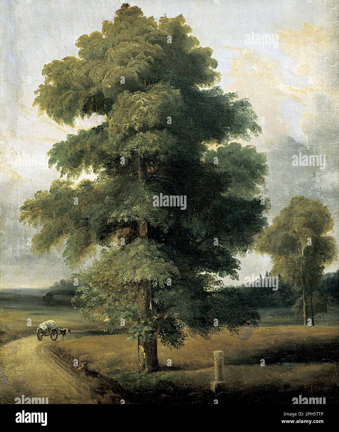 Ignacio merino hi-res stock photography and images - Alamy