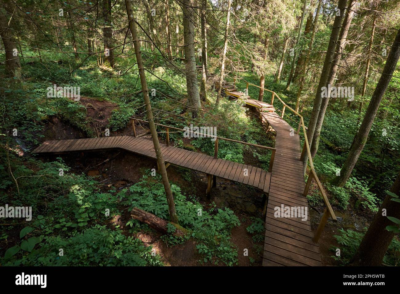 Pedestrian wooden eco trails, bridge over sources. Holy springs ...