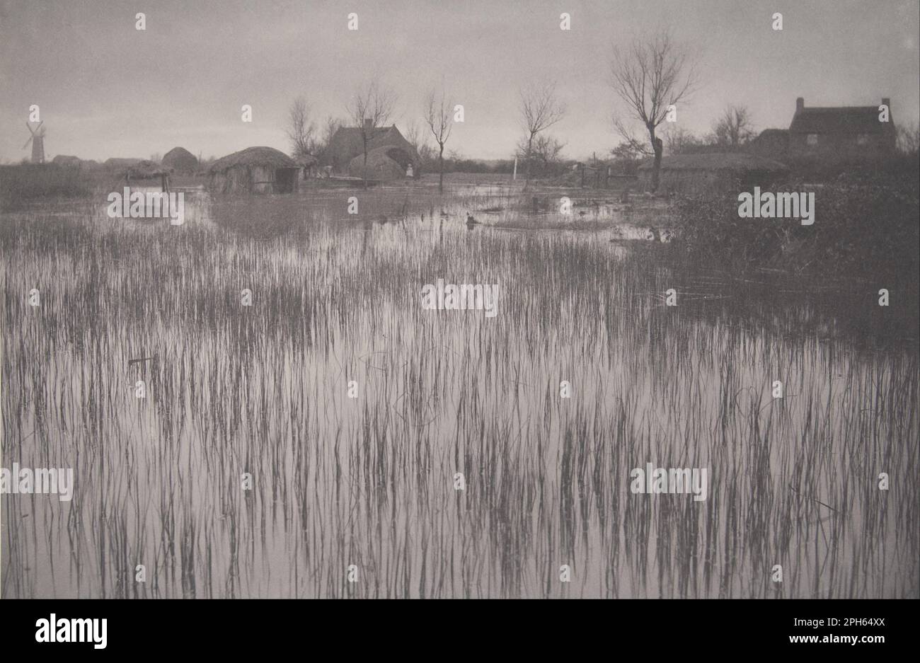 A Rushy Shore, plate XXXV from "Life and Landscape on the Norfolk ...