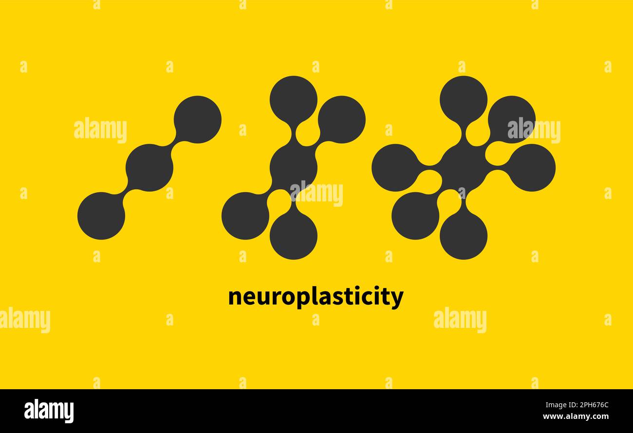Neural Plasticity Education