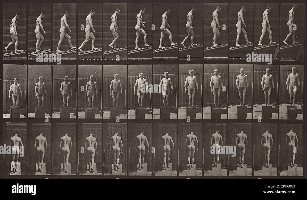 Edward muybridge hi-res stock photography and images - Alamy