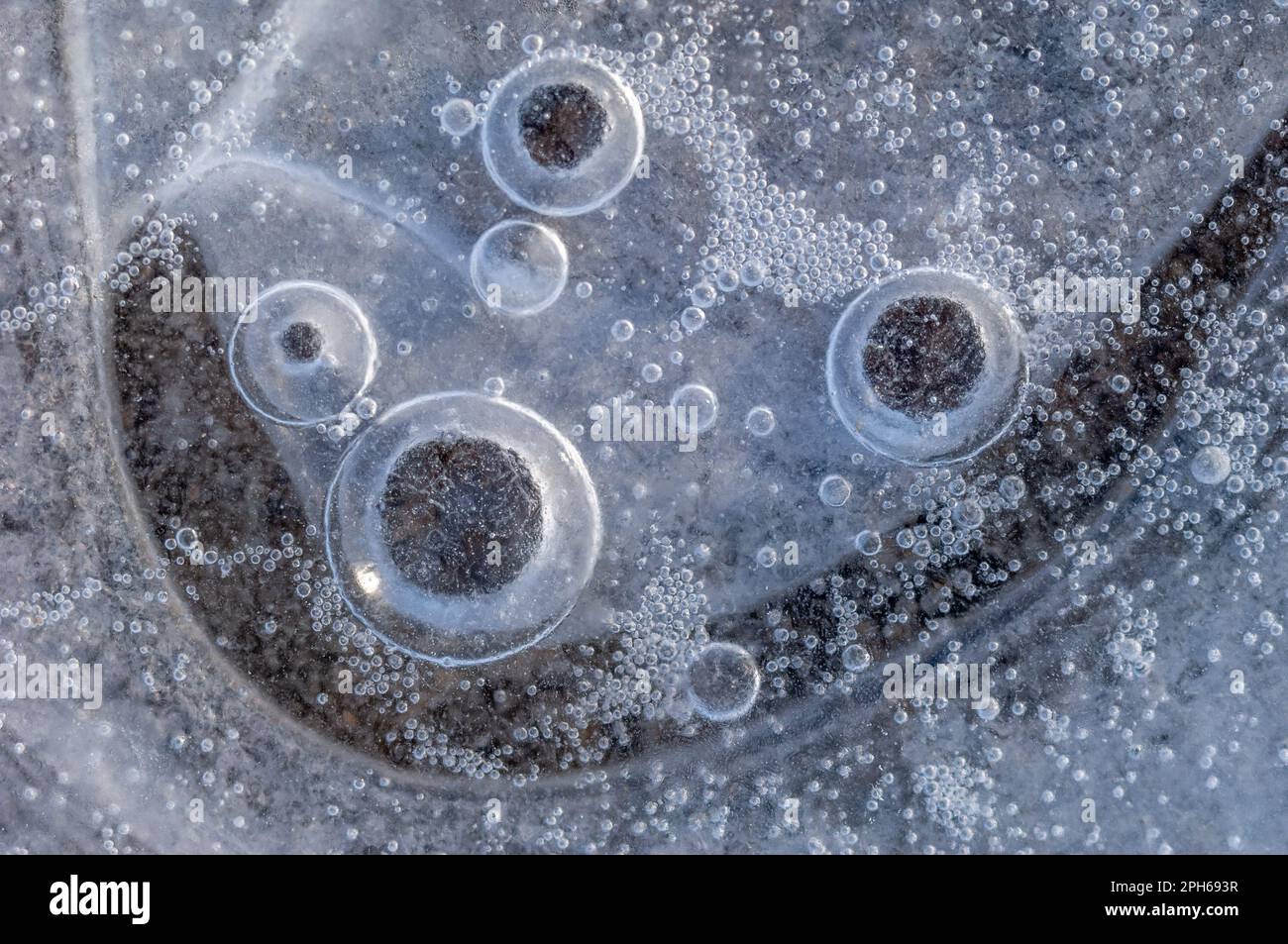 Air bubbles trapped in the ice formed on a river by a freezing winter ...