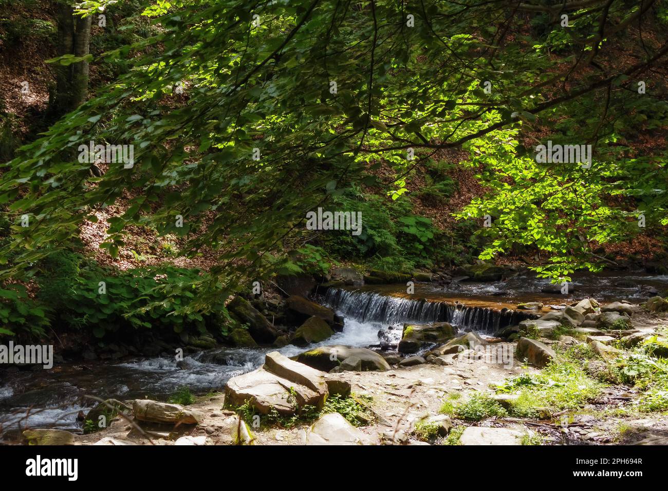 brook in the forest. wilderness nature background with wet rocks on the ...