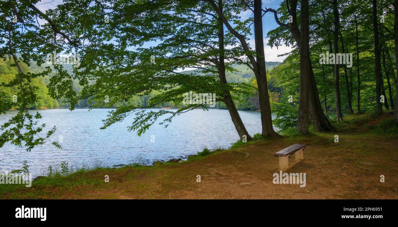 lake among beech forest. beautiful nature scenery in summertime. relax ...