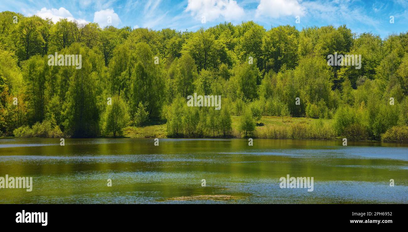 scenery with mountain pond. forest reflecting in the water surface ...