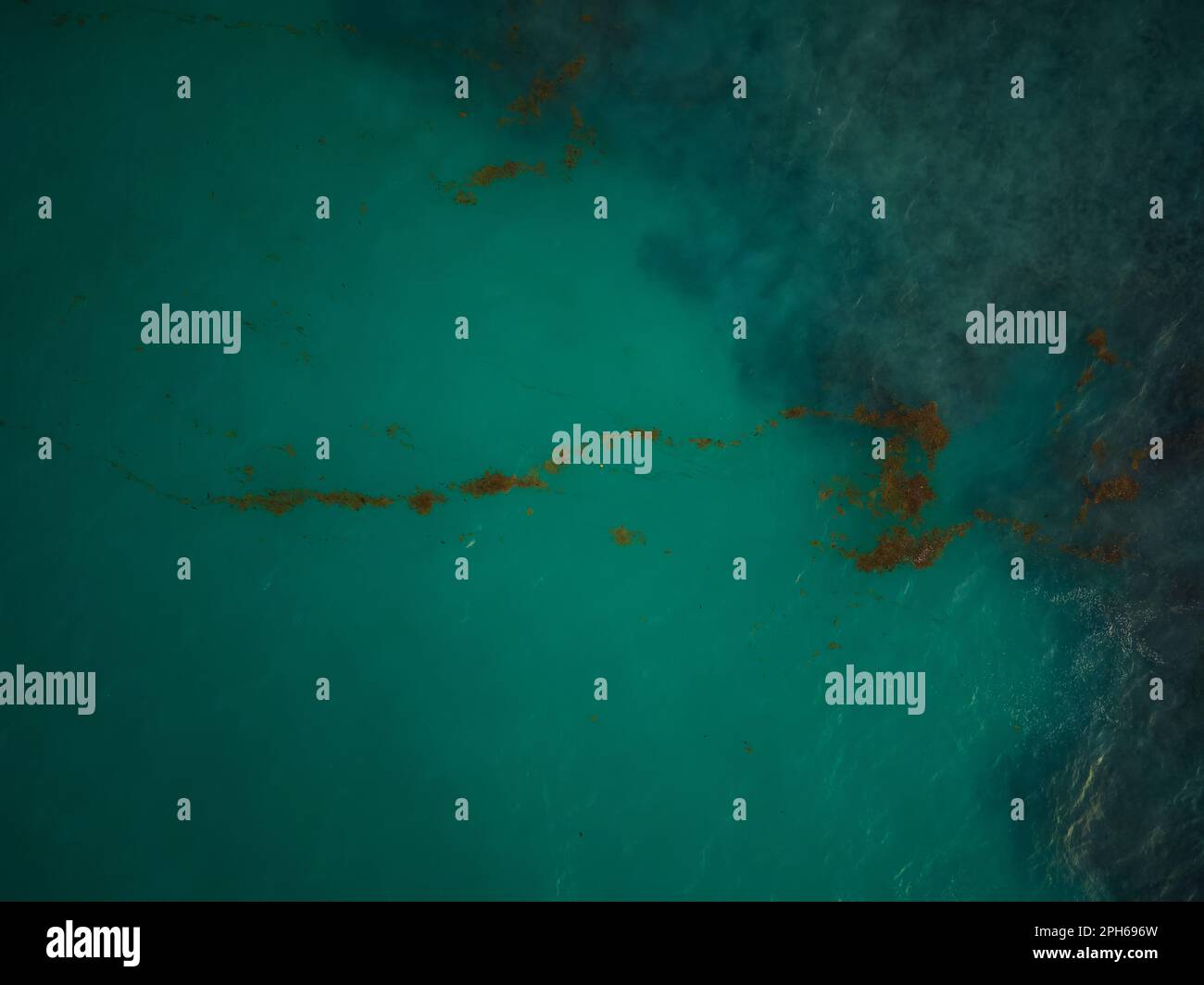 View from above. Algae in the sea. Clear turquoise sea water and ...