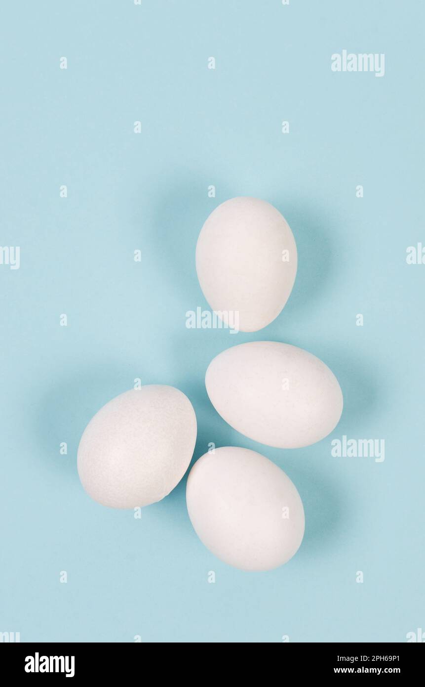 Fresh white chicken eggs close-up onblue background. Group of four eggs ...