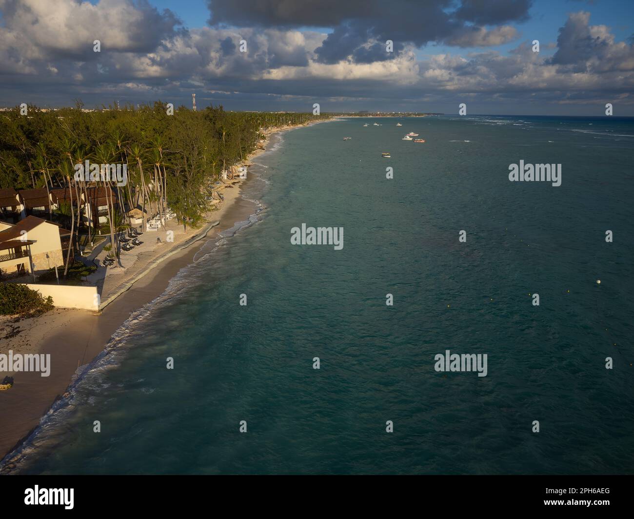 Town on the seashore under a gloomy sky. Tropical plants, palm trees on ...