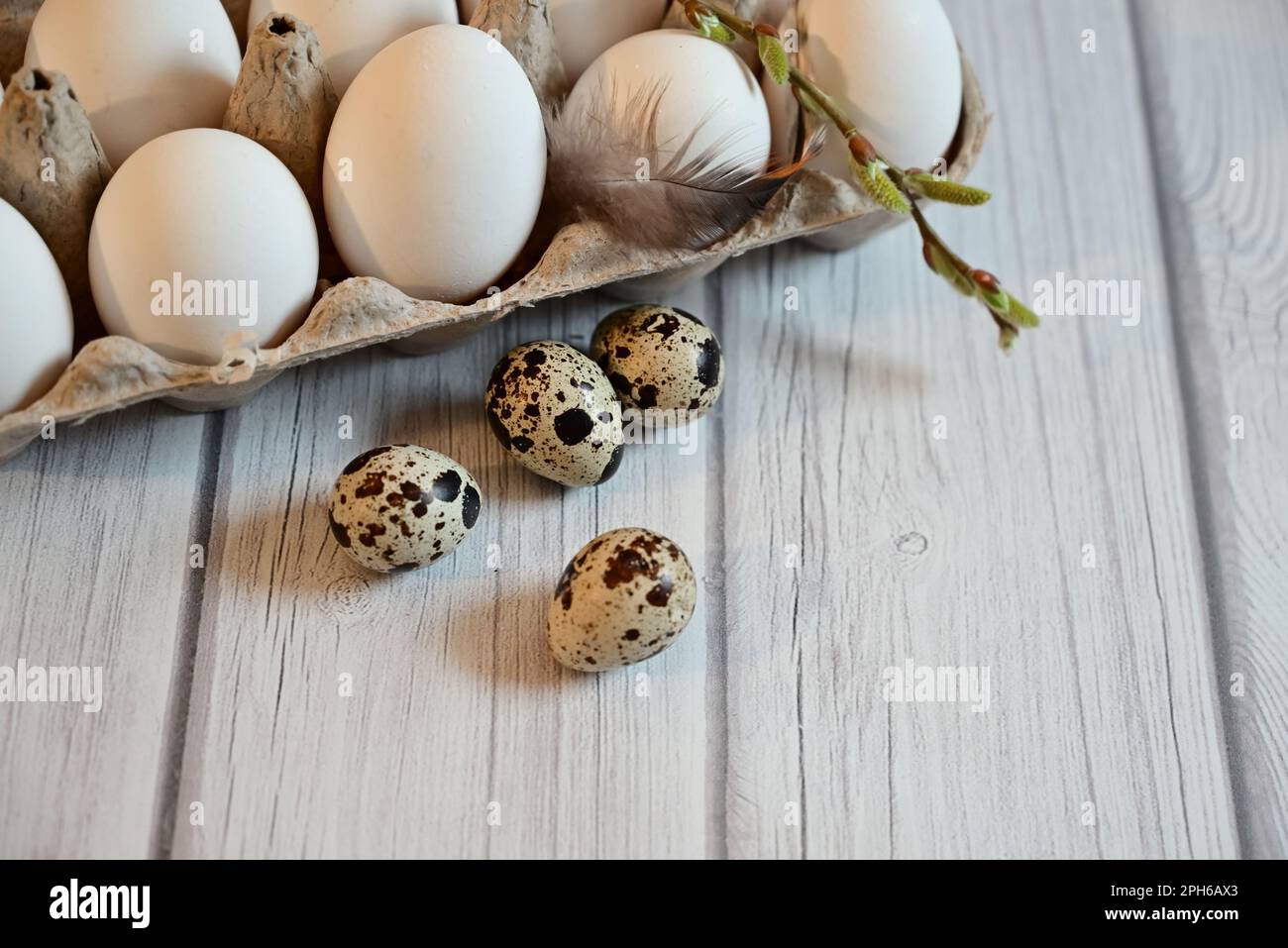 Heap of quail eggs decorated with feather. Organic food. Rustic style ...