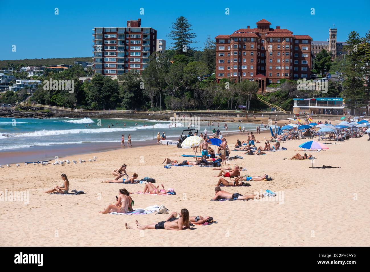 Soaking up the suns rays on Manly Beach, Sydney, New South Wales ...