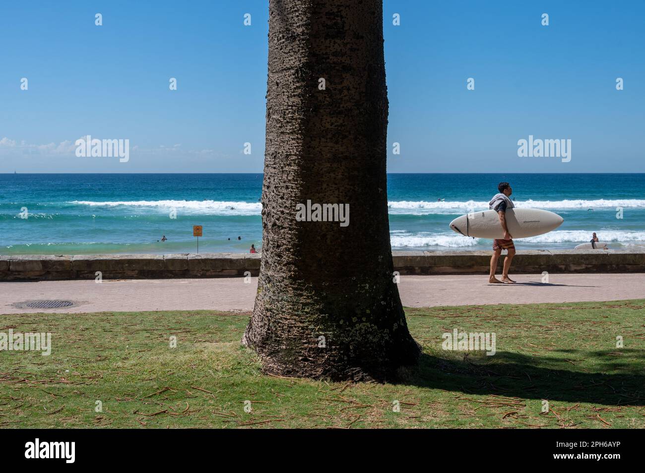 A surfer carries his board along the promenade at Manly, Sydney, New ...