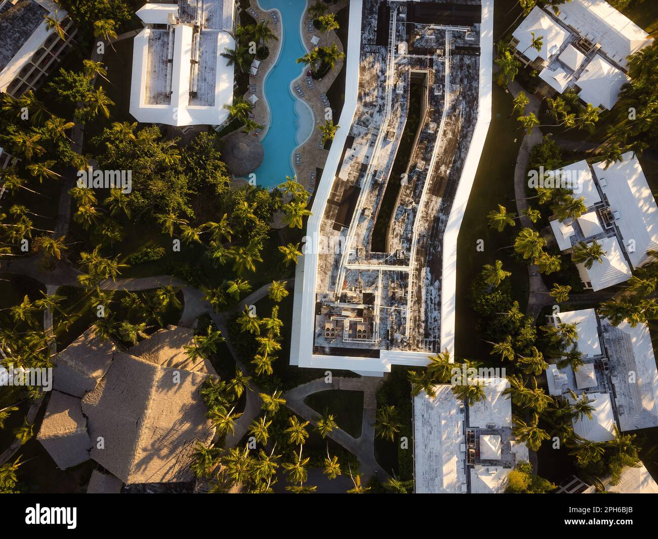 Top view of the hotel resort complex among palm trees. Beautiful nature ...