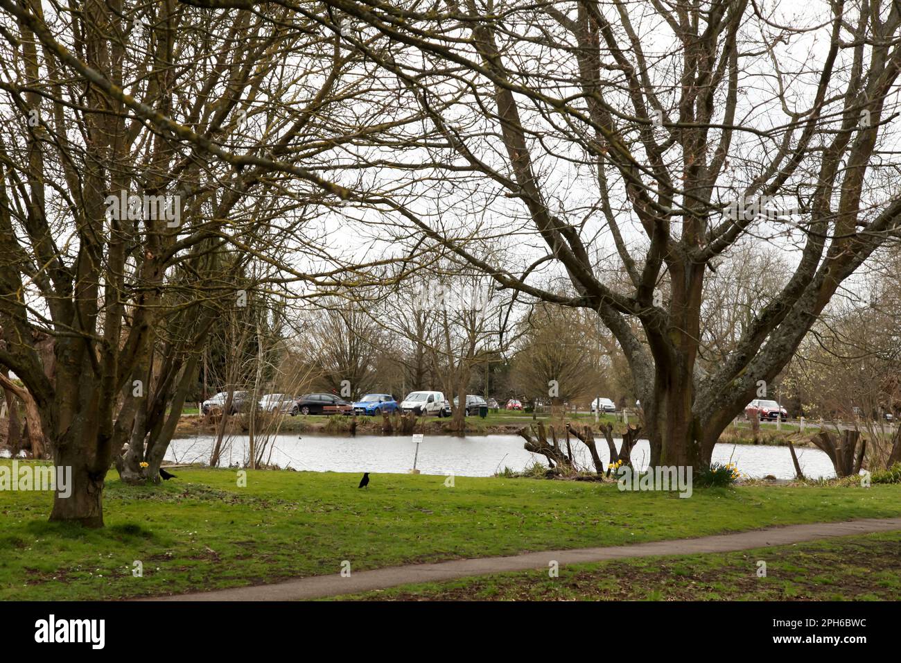 The village pond in Ashtead, Surrey, England, UK, 2023 Stock Photo - Alamy