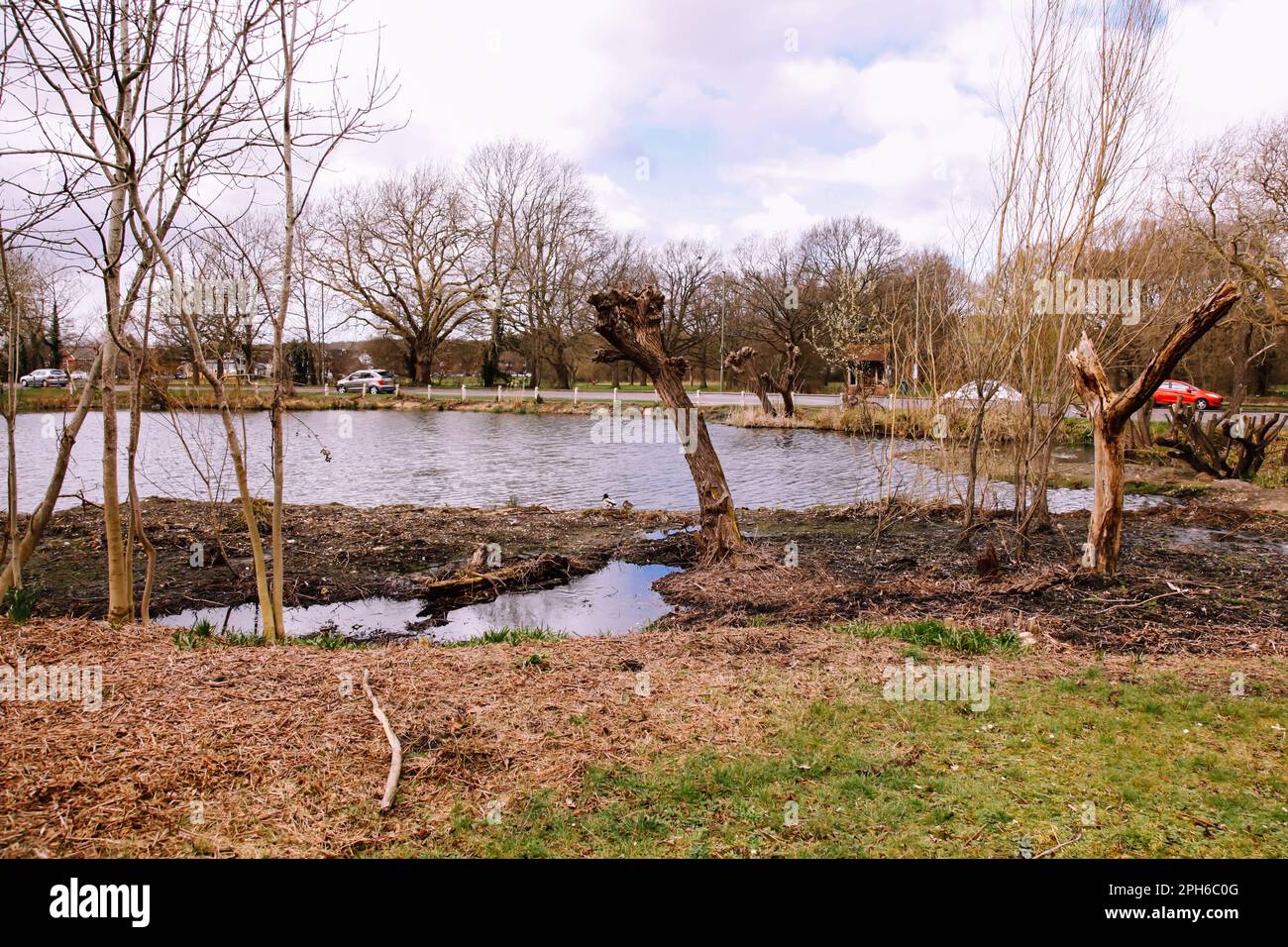 The village pond in Ashtead, Surrey, England, UK, 2023 Stock Photo - Alamy