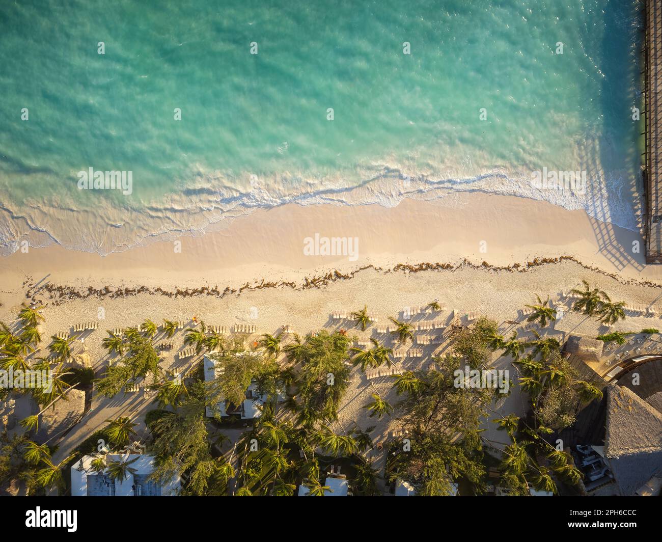 Top view of the resort town with swimming pools, palm trees, tall ...