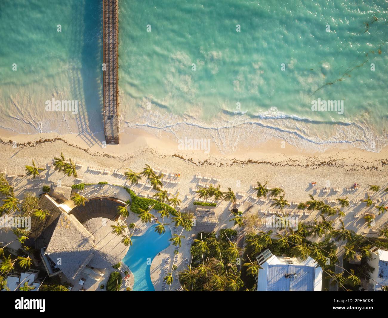 Top view of the sandy beach with palm trees, swimming pool, small ...