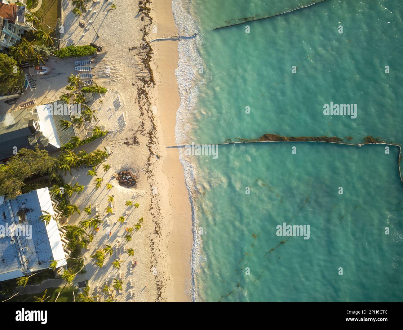 Resort complex on the seashore. Aerial view. Many palm trees, tropical ...