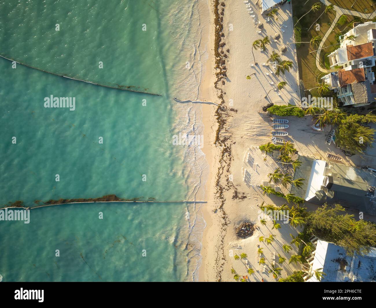 Seaside resort. Algae in the sea. View from above. On the sandy shore ...