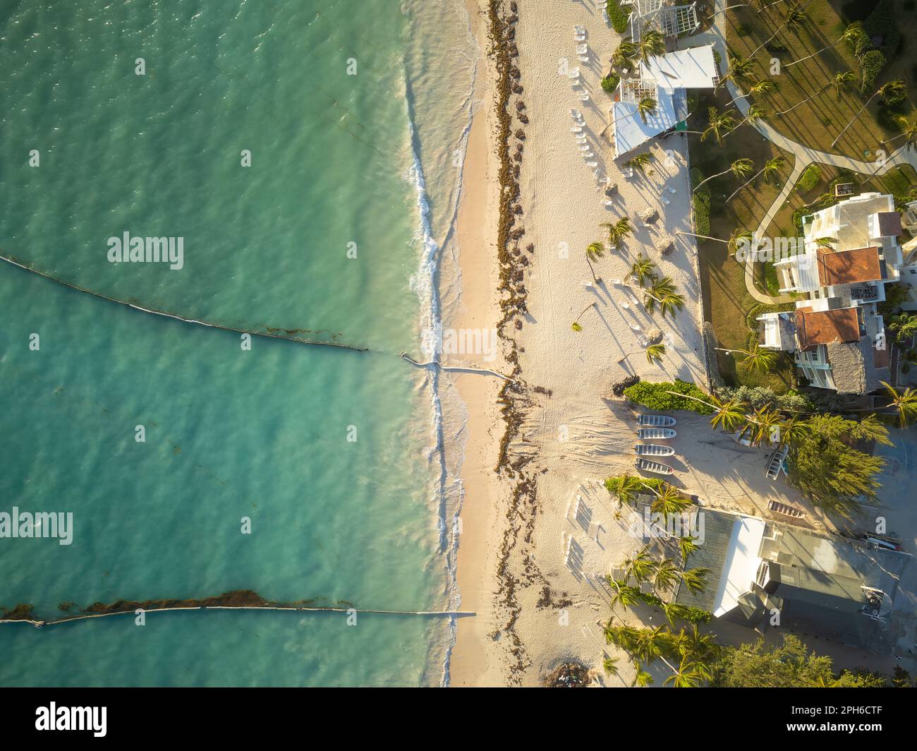 Algae in the sea. View from above. On the beach there is a beautiful ...