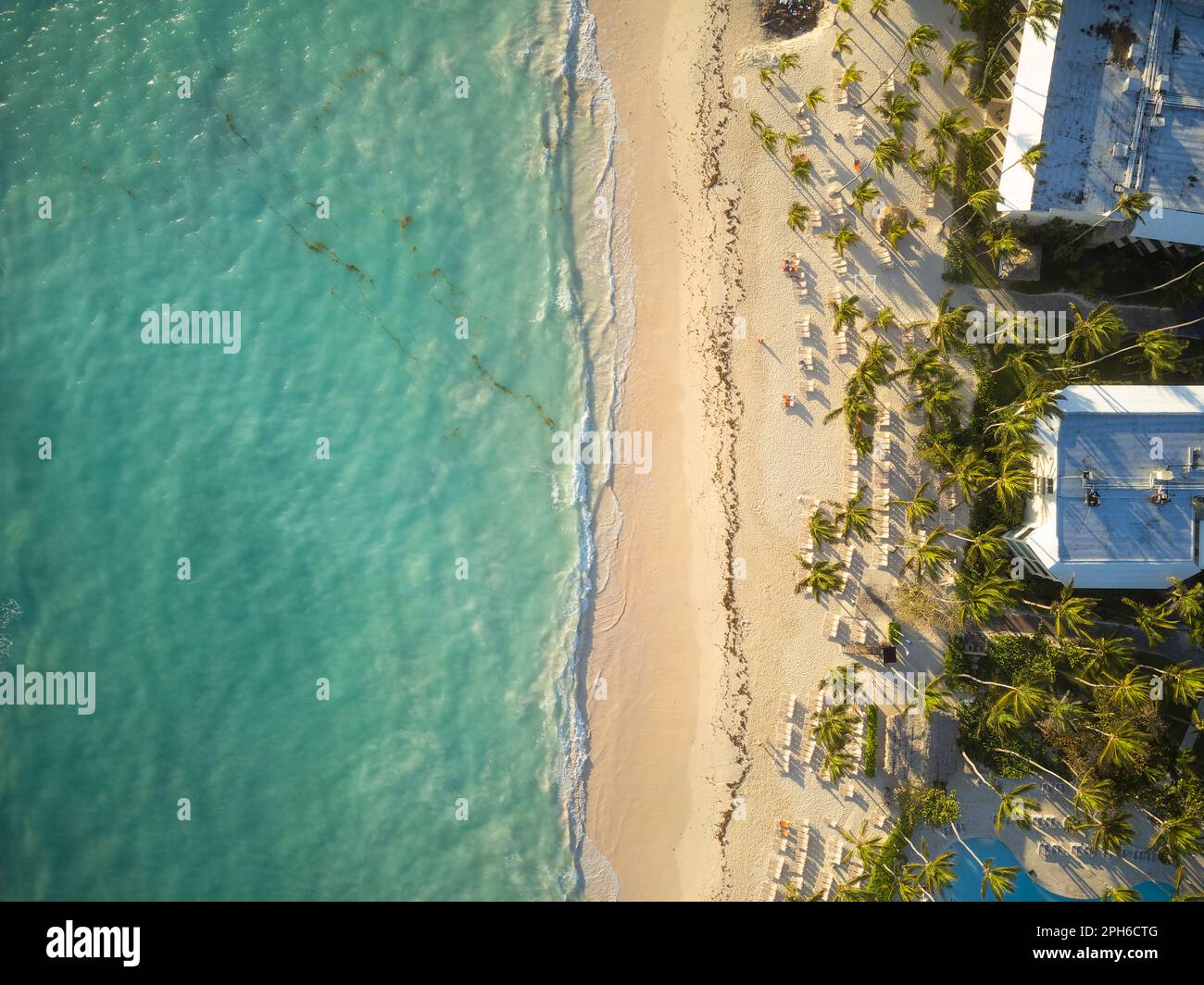 Top view of the palm forest on the sandy seashore. Clear emerald sea ...