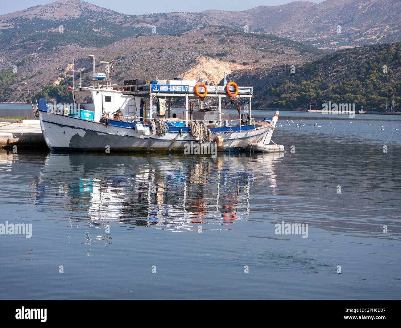 Turtles lifestyle Argostoli Kefalonia Greece Stock Photo - Alamy
