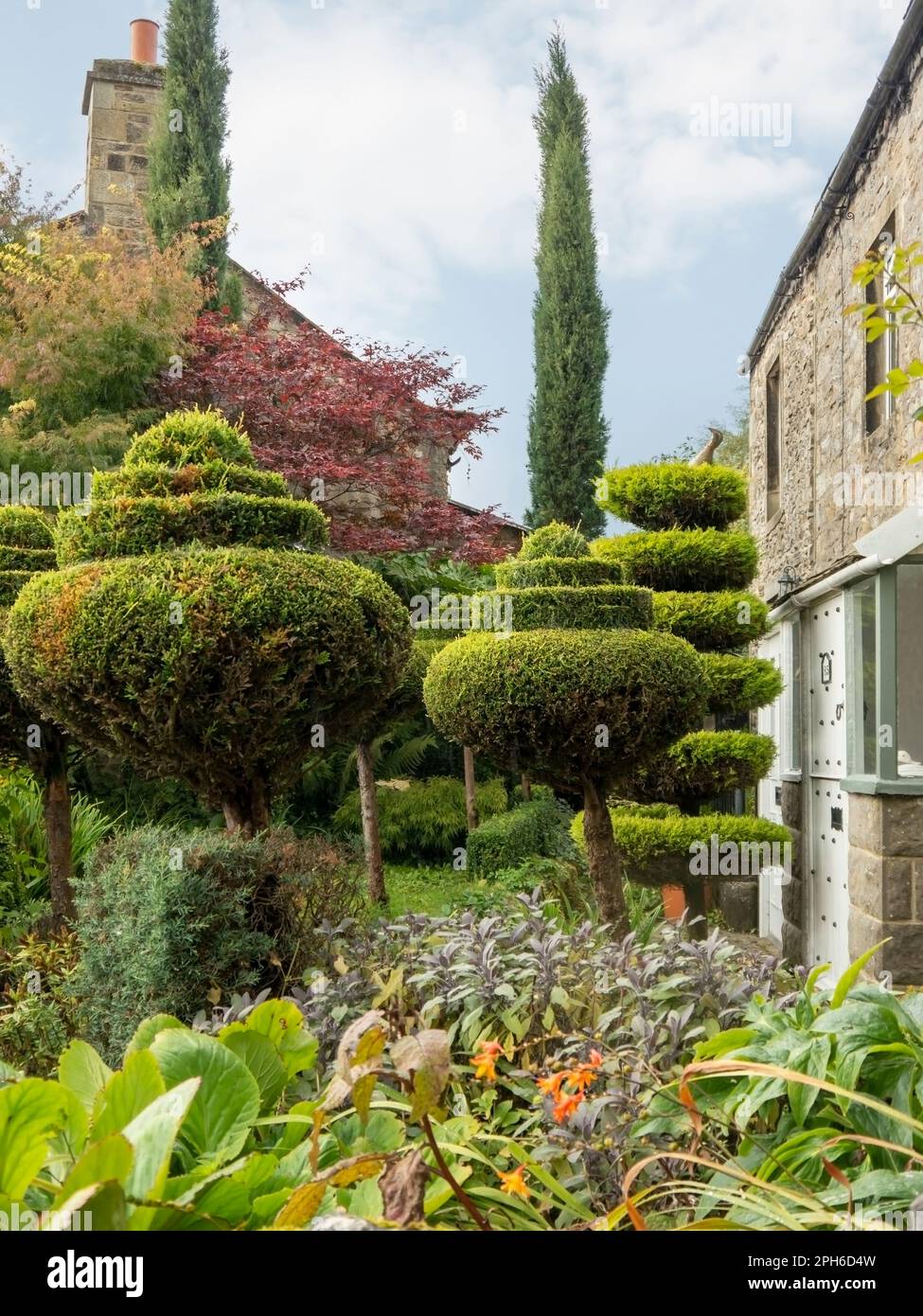 Topiary trees in Grassington Yorkshire Stock Photo - Alamy