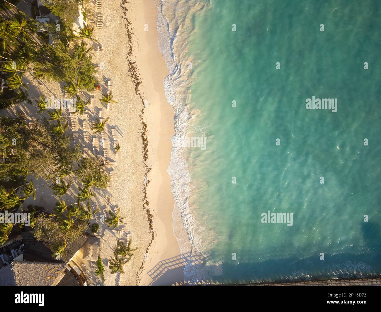 Palm forest on a sandy beach. View from above. Transparent emerald sea ...