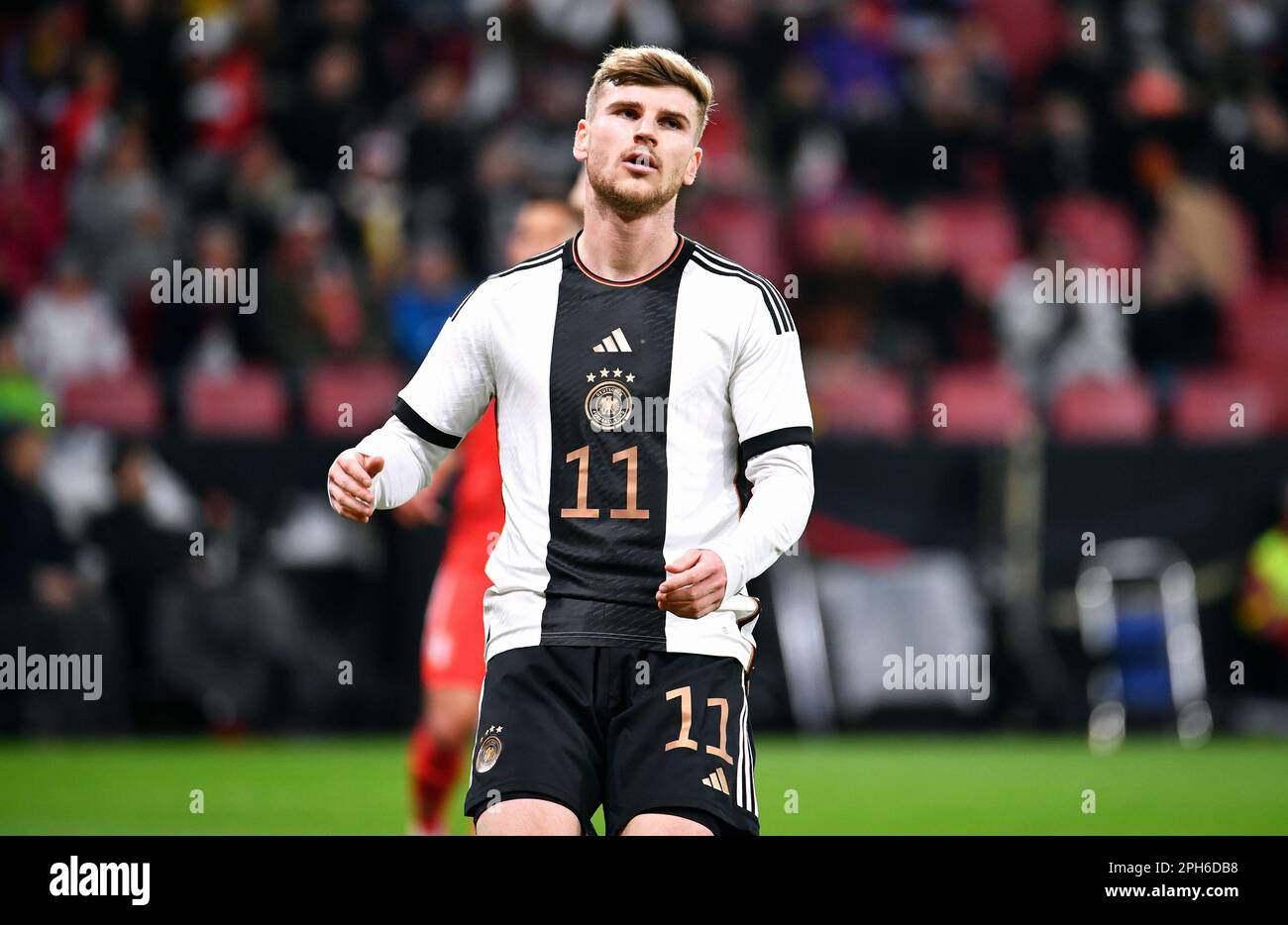Football national team, international match, Mewa-Arena Mainz: Germany ...
