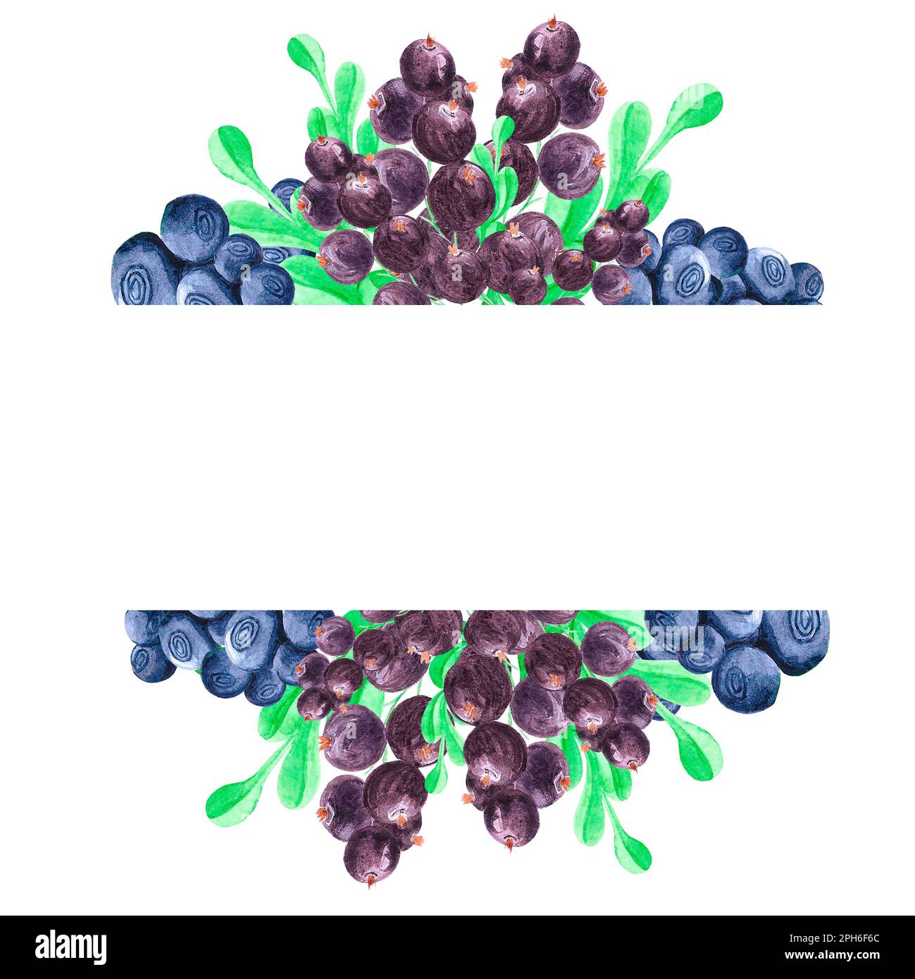 Blueberry Border Clipart