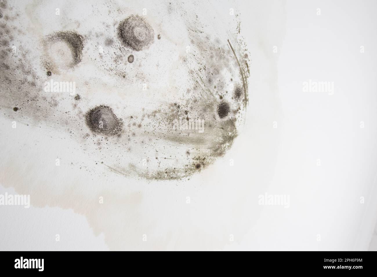 A lot of molds on the white ceiling Stock Photo - Alamy