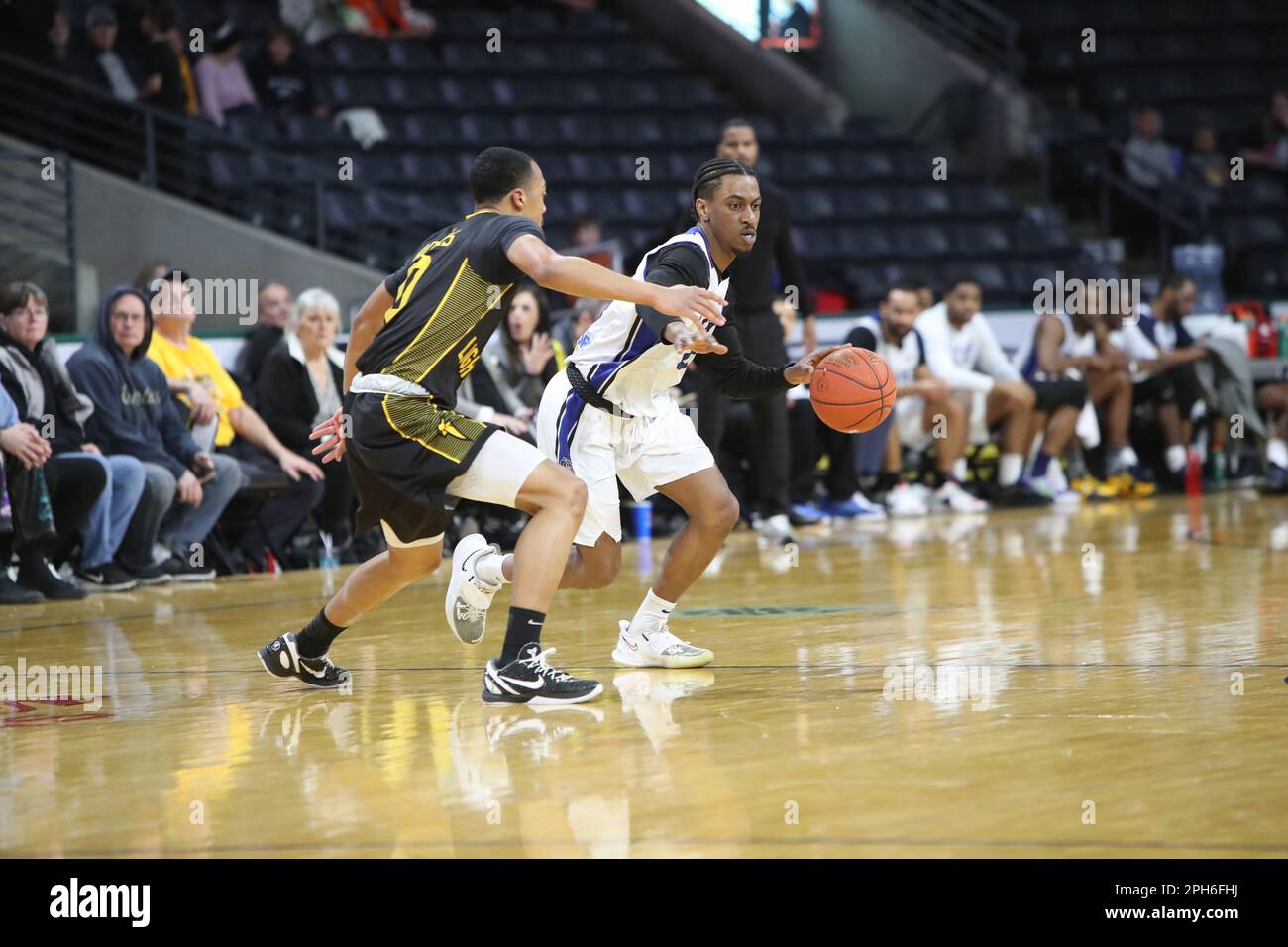 London Ontario Canada, March 16 2023, The London Lightning defeat the ...