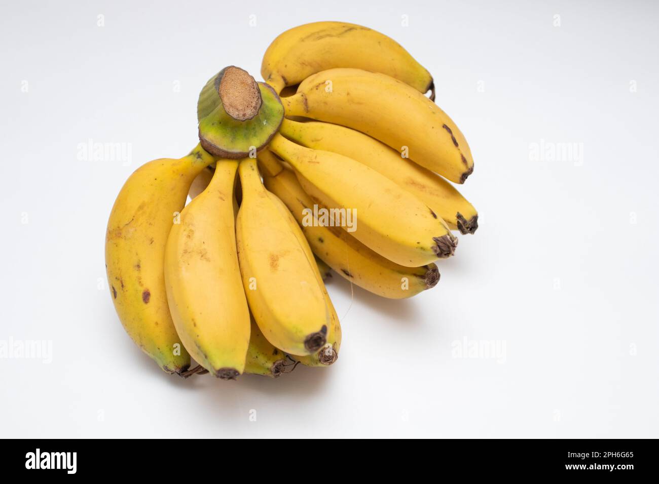 Bunch of small yellow tropical bananas on white background Stock Photo ...