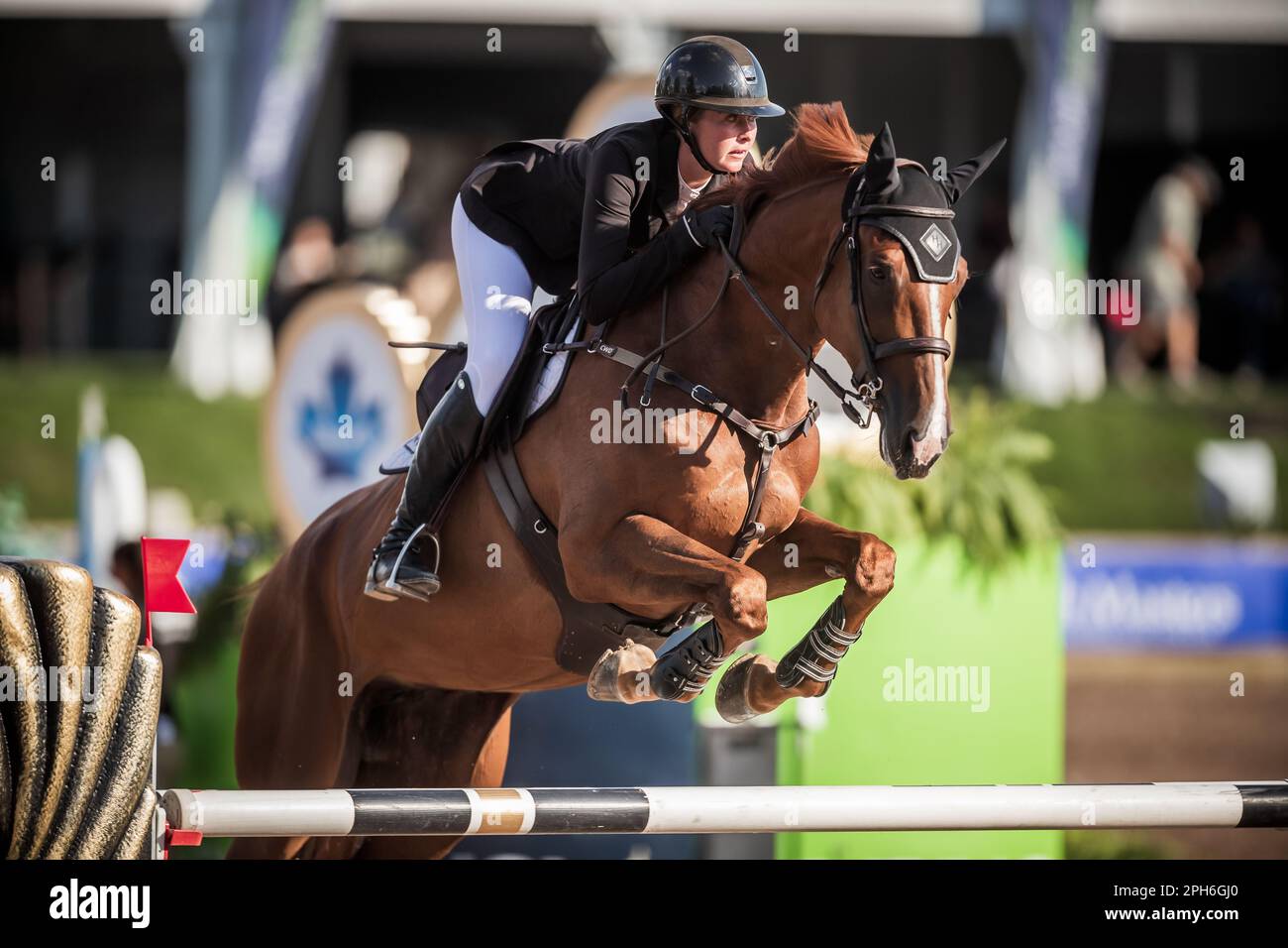 A professional rider competes on the Major League Show Jumping Tour in ...