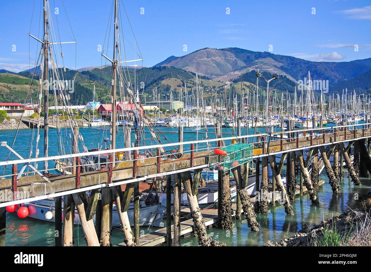 Fishing boats in Port Nelson, Nelson, Tasman Region, South Island, New ...
