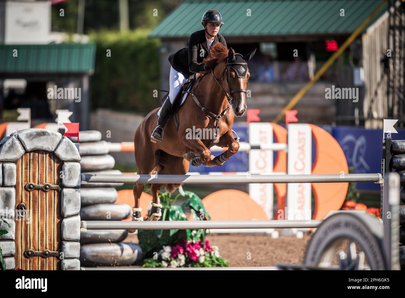 A professional rider competes on the Major League Show Jumping Tour in ...