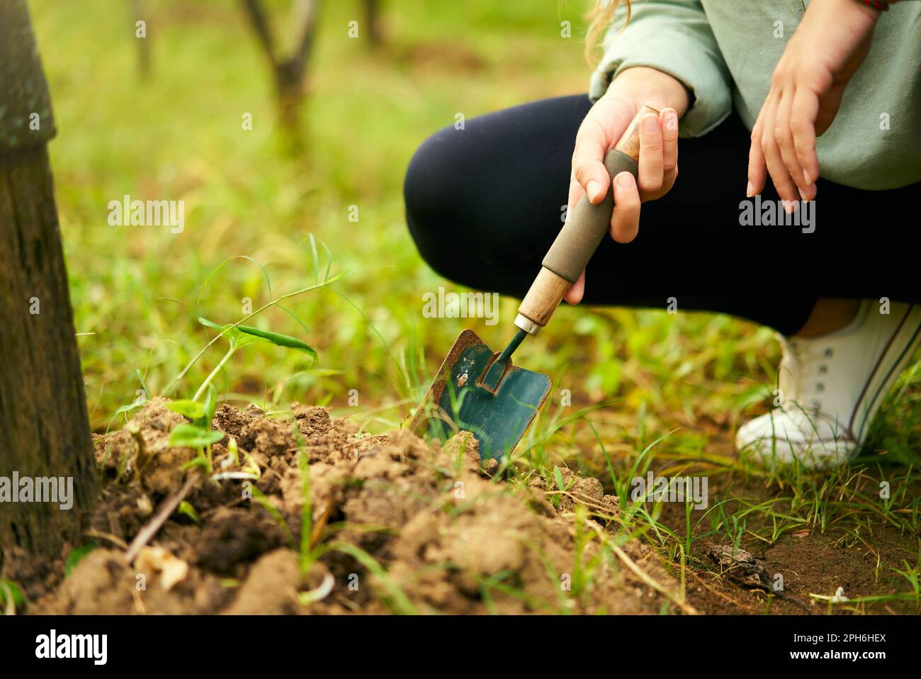 Female hands holding small garden shovel. Farmer woman sitting in ...