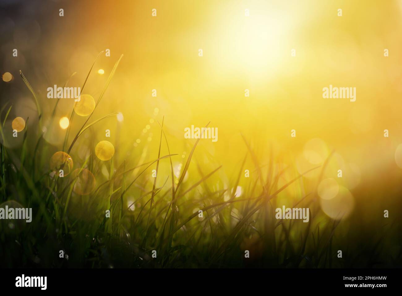 Spring Worship Powerpoint Backgrounds