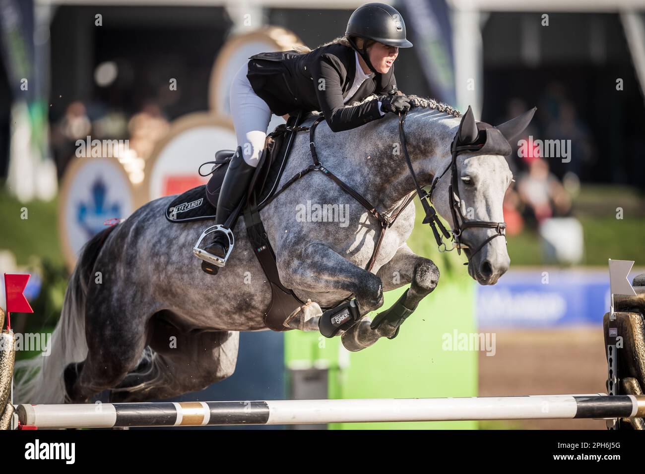 Team Canada Nations Cup rider, Jacqueline Steffens-Daley competes ...